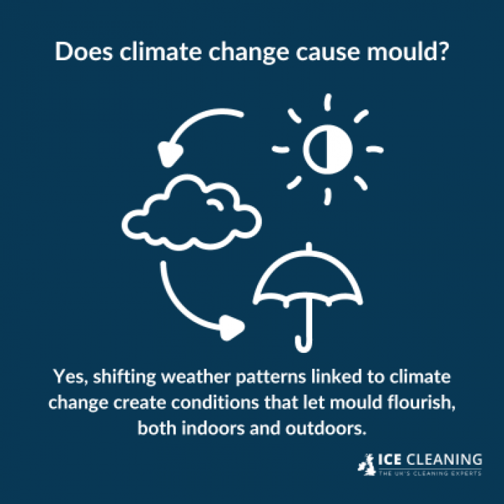 ICE Services Group Ltd - How Is Climate Change Affecting Mould Growth?