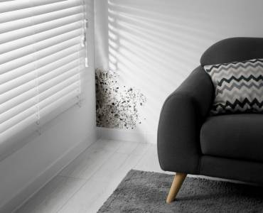 Does Hydrogen Peroxide Kill Mould?