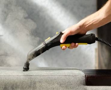 Does Steam Kill Mold