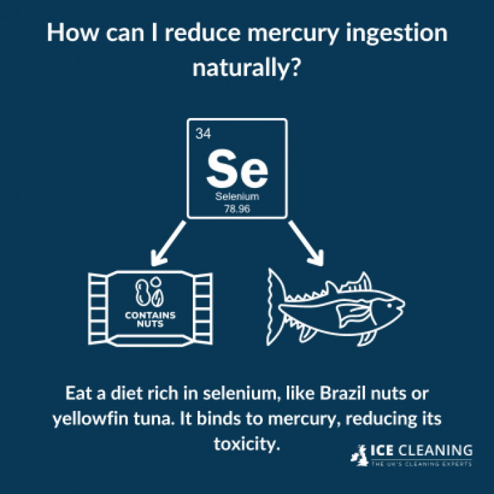How To Avoid Mercury Exposure
