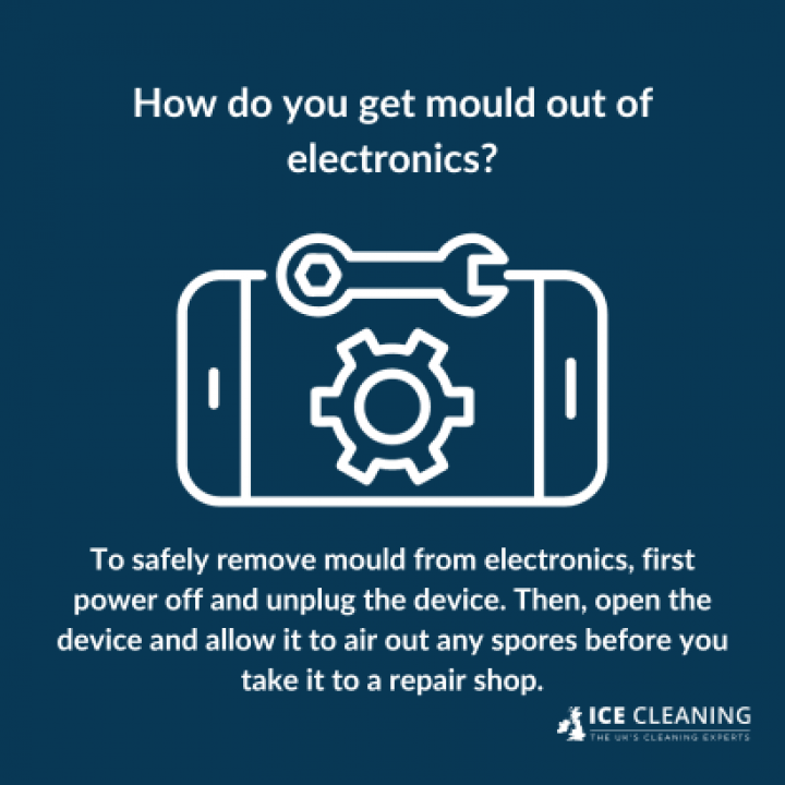 Does Mould Grow In Electronics?