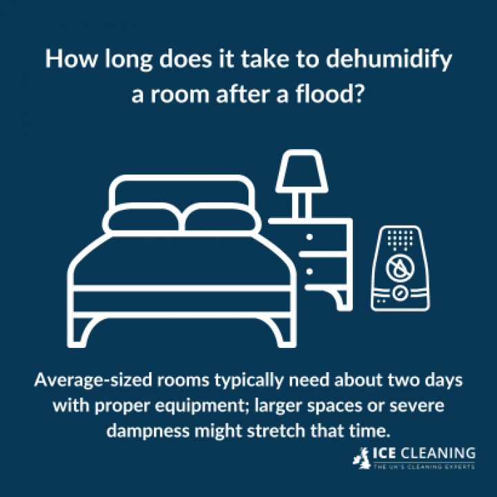 ICE Services Group Ltd - What Is The Drying Process After A Flood?