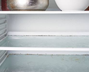 How To Clean Mould From A Fridge