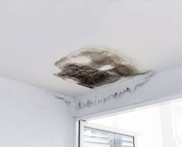 How To Get Rid Of Black Mould On The Bathroom Ceiling