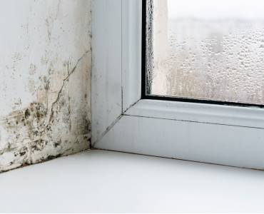 How To Get Rid Of Mould On Windows