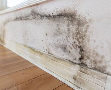 How To Get Rid Of Mould Permanently