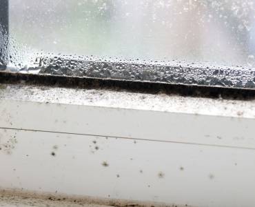 How To Prevent Mould On Windows