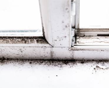 How To Remove Mould From Window Sill