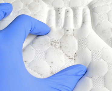 How To Remove Mould From Your Furniture