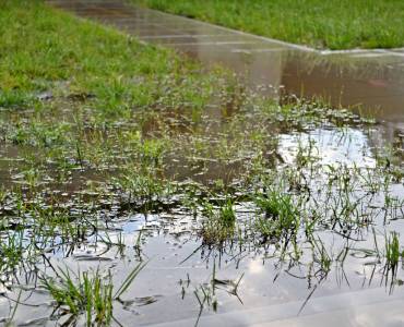 How To Prevent Your Garden From Flooding