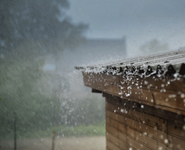 Impact Of Heavy Rain On Properties