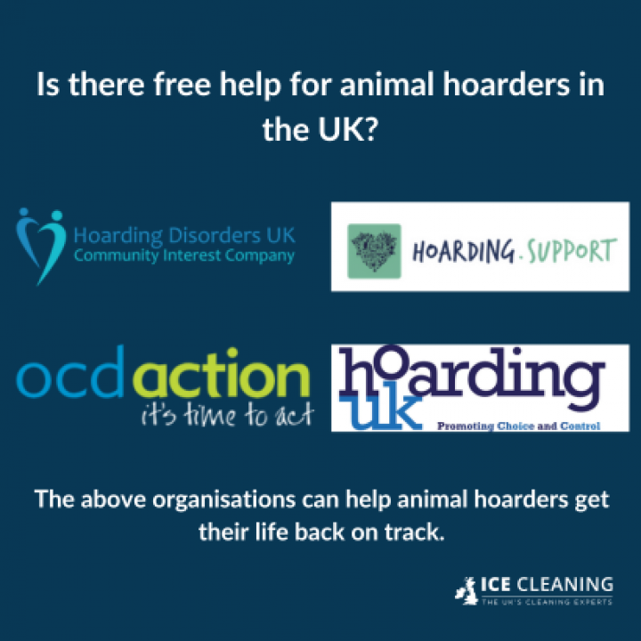 What Is Animal Hoarding And How Can You Help?