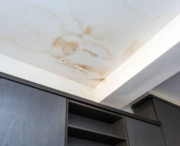 How To Identify Water Damage In Properties