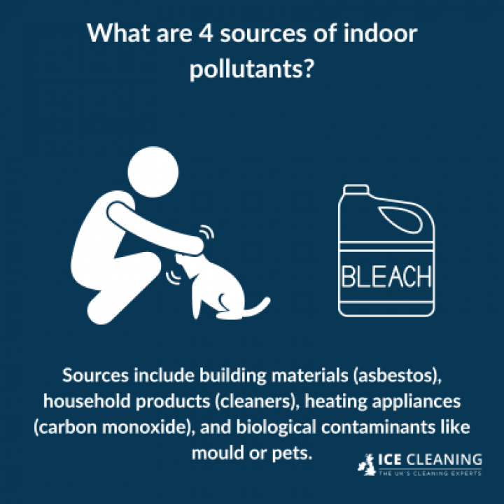 How Does Mould Interact With Indoor Pollutants?