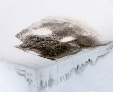 What Are The Causes Of Mould On The Bedroom Ceiling?