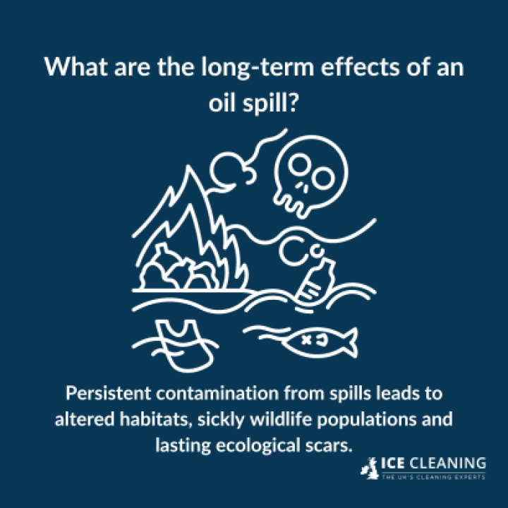 What Are The Long-Term Effects Of Oil Spills?