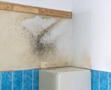 What Are The Main Causes Of Damp?