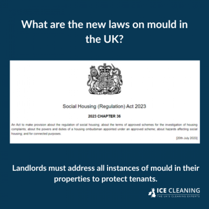 What Is Awaab's Law And How Does It Apply To Landlords?