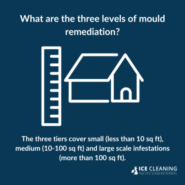 What Happens During Mould Remediation?
