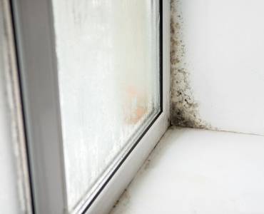 What Causes Black Mould Around Windows?