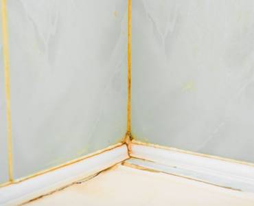 What Causes Yellow Mould On Walls?