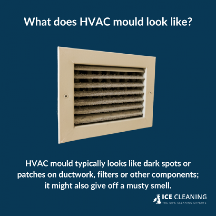 How to Keep Mould Out of Your HVAC System