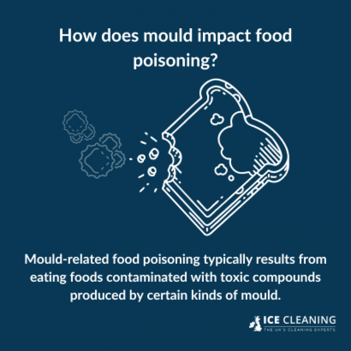 How To Prevent Food Mould From Spreading In Your Home
