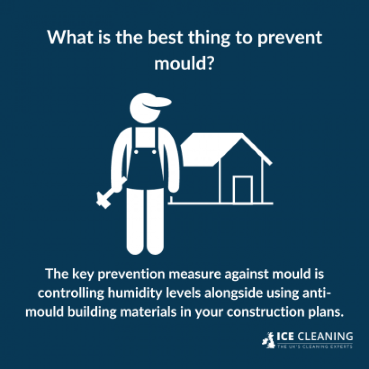 What Building Materials Can Prevent Mould?