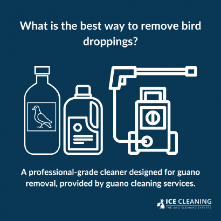 How To Remove Pigeon Guano From Your Patio