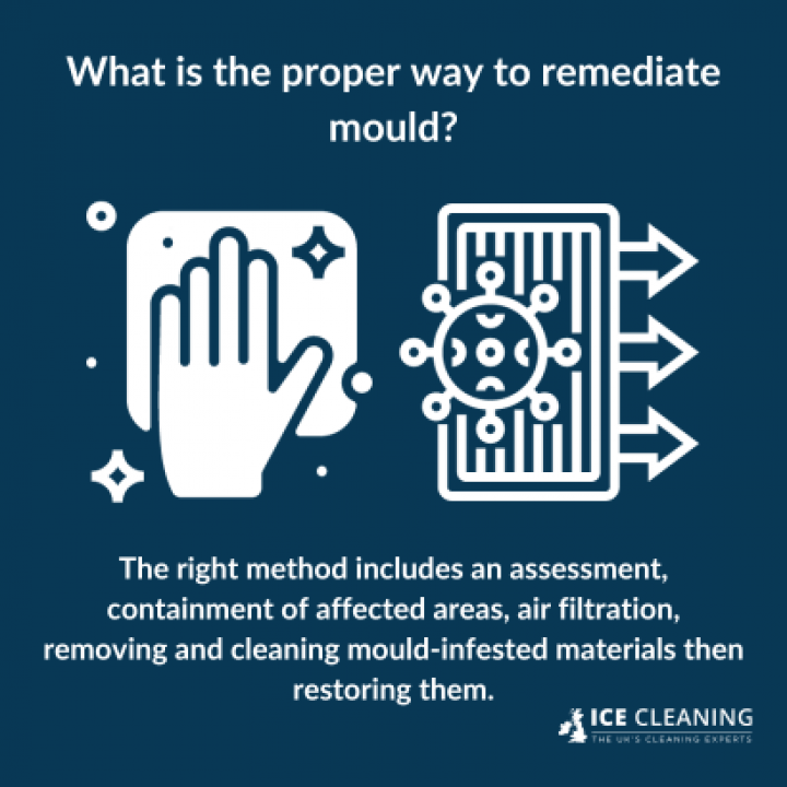 What Happens During Mould Remediation?